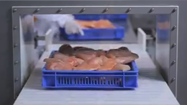 PK Meat & Food Company